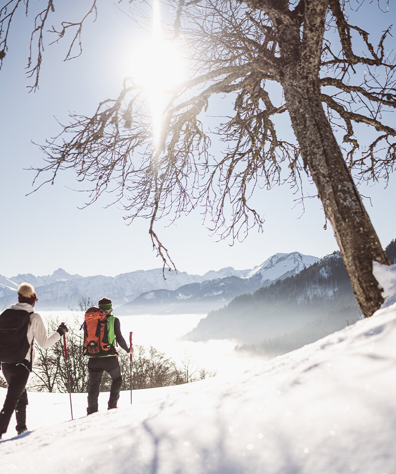 Môle & Brasses : Plaine Joux, un plateau merveilleux pour le ski ...