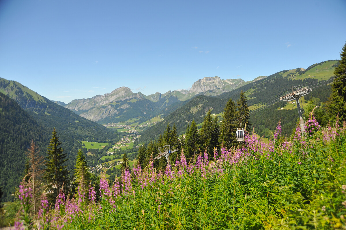 Châtel | Paradis de la rando et du VTT